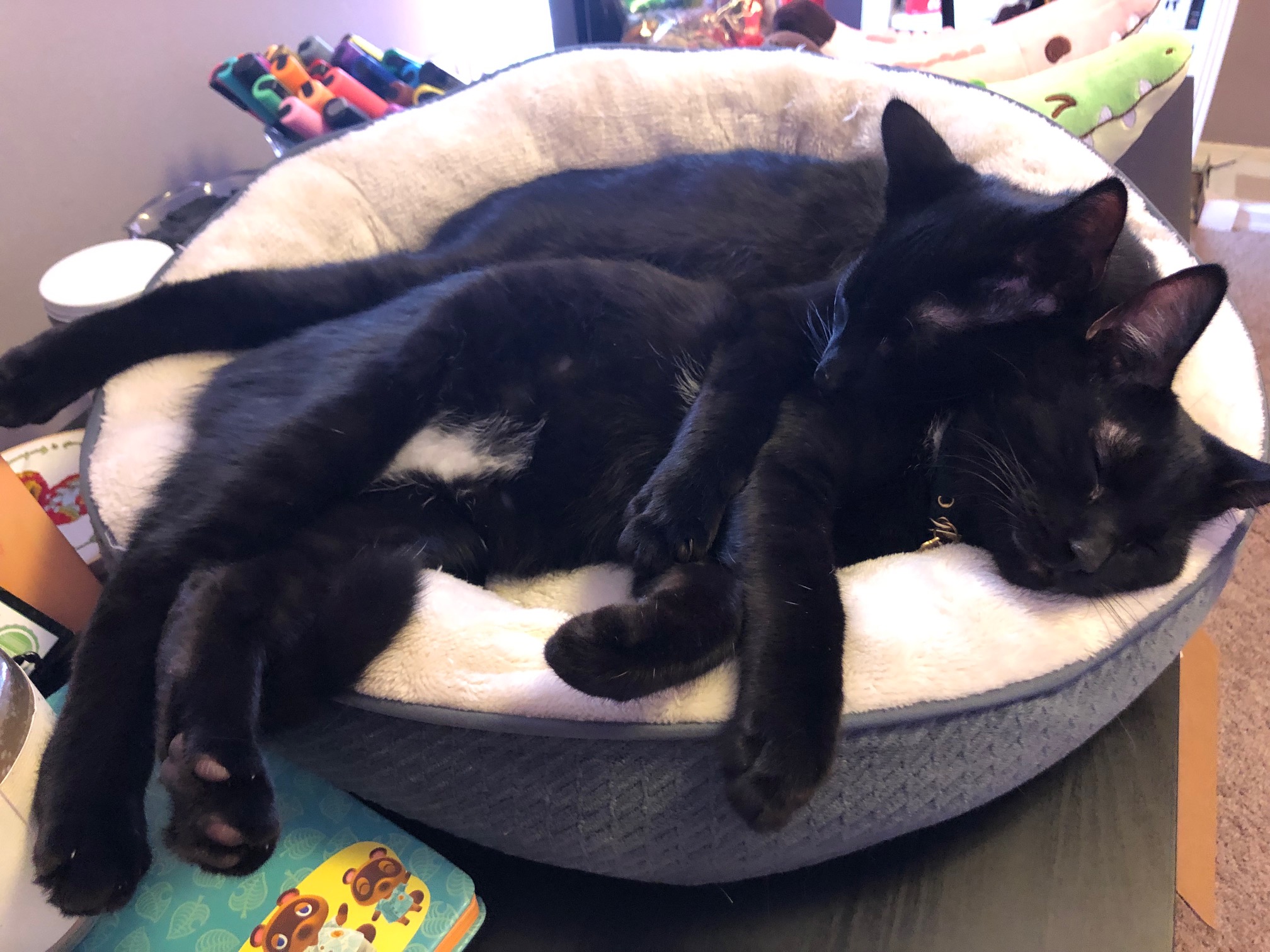 Happy Tails - Friends for Animals of Metro Detroit