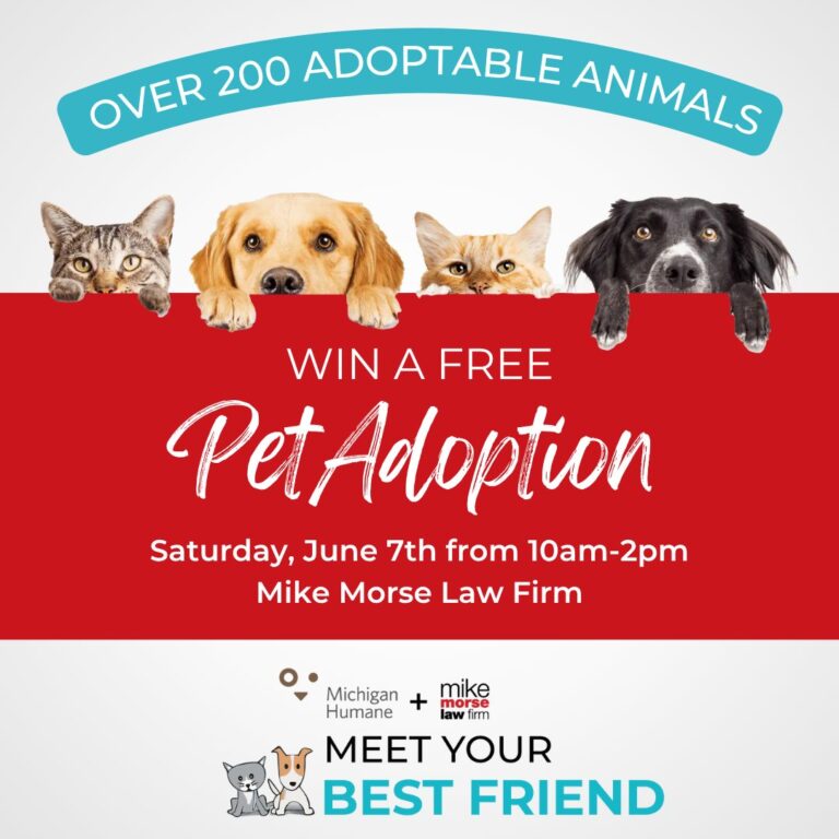 Mike Morse 'Meet Your Best Friend' Off-Site Adoption Event - Friends ...
